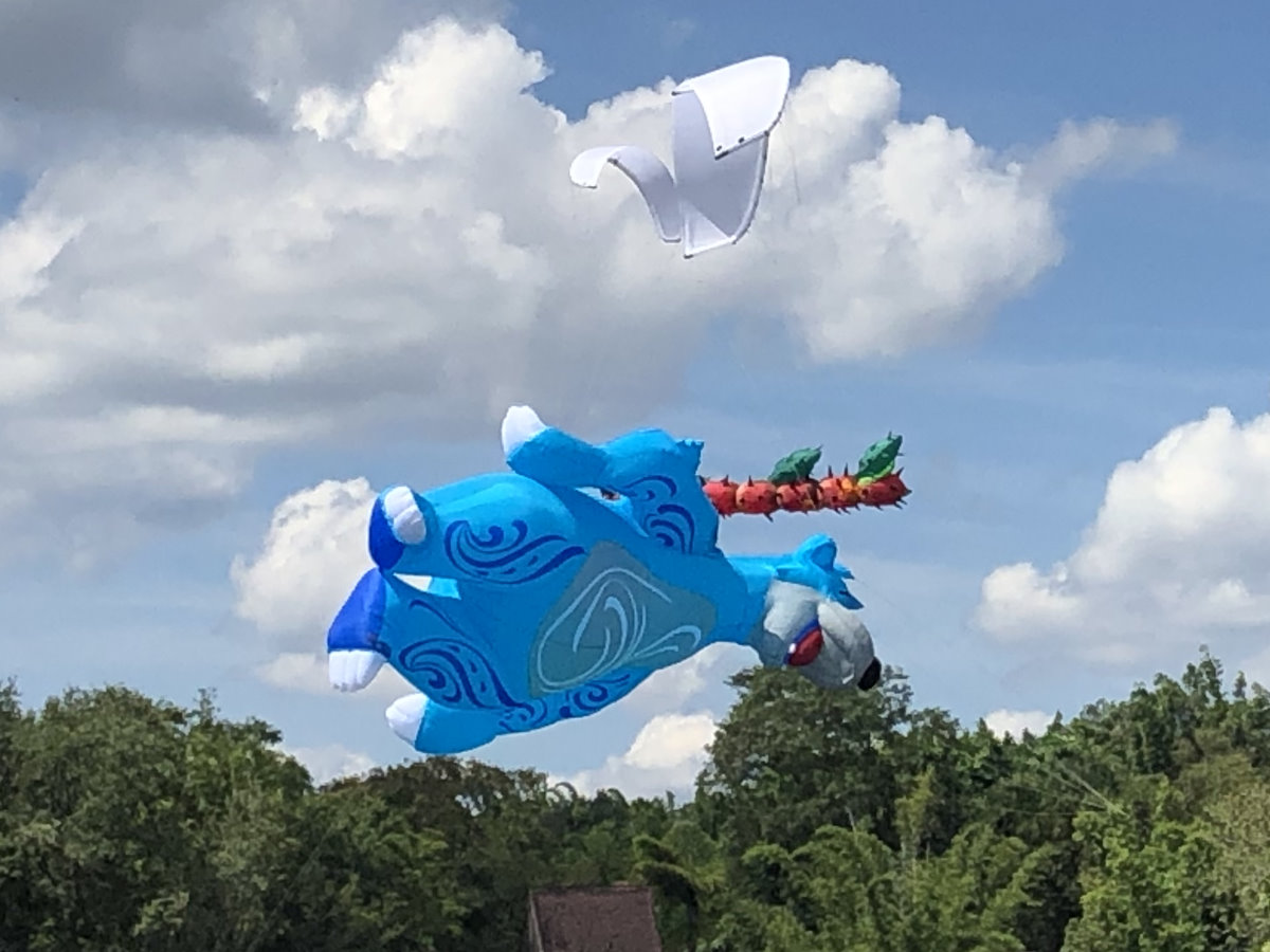 Disney KiteTails | Disney's Animal Kingdom