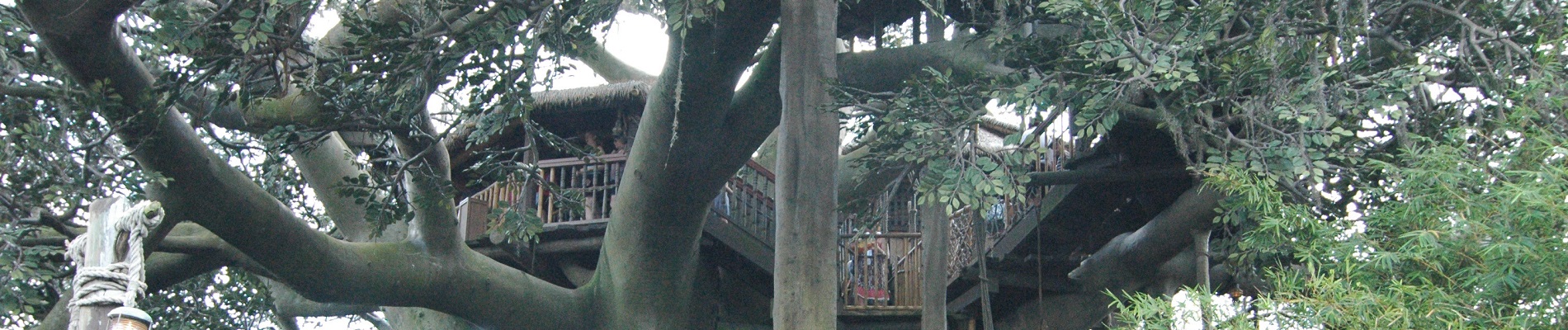 Swiss Family Treehouse | Magic Kingdom